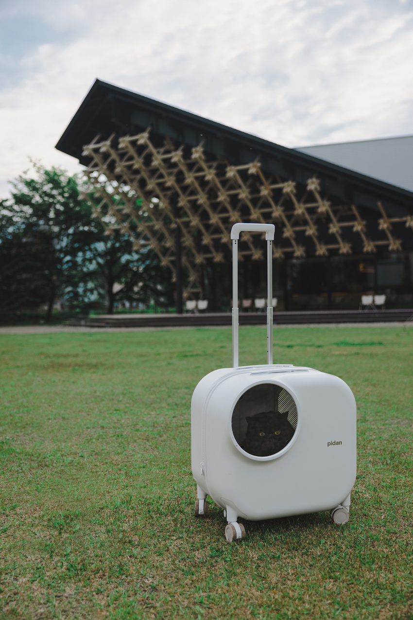 pidan Canada | Canadian Online Store for Cats