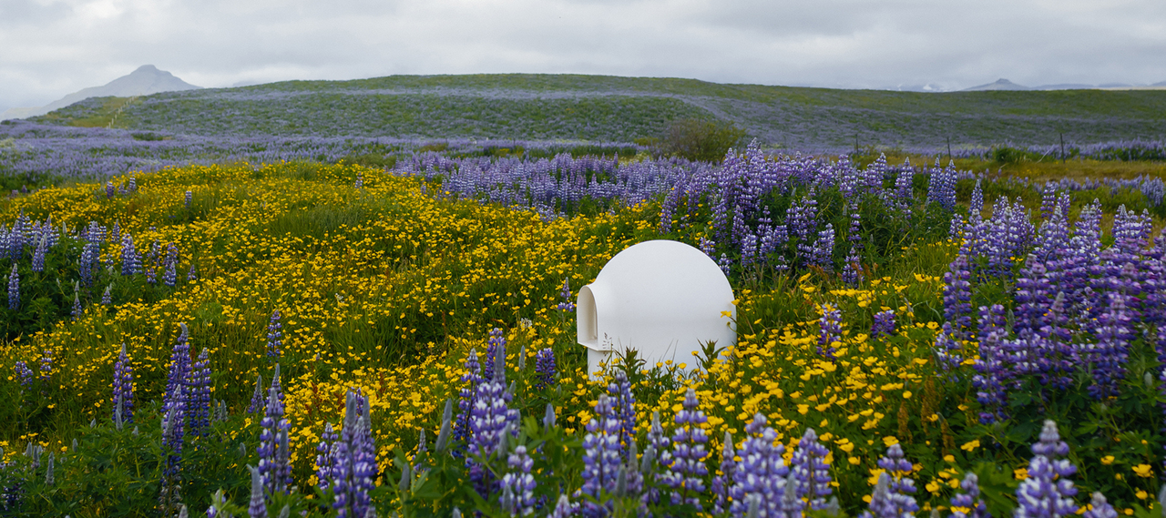 pidan Canada | Canadian Online Store for Cats